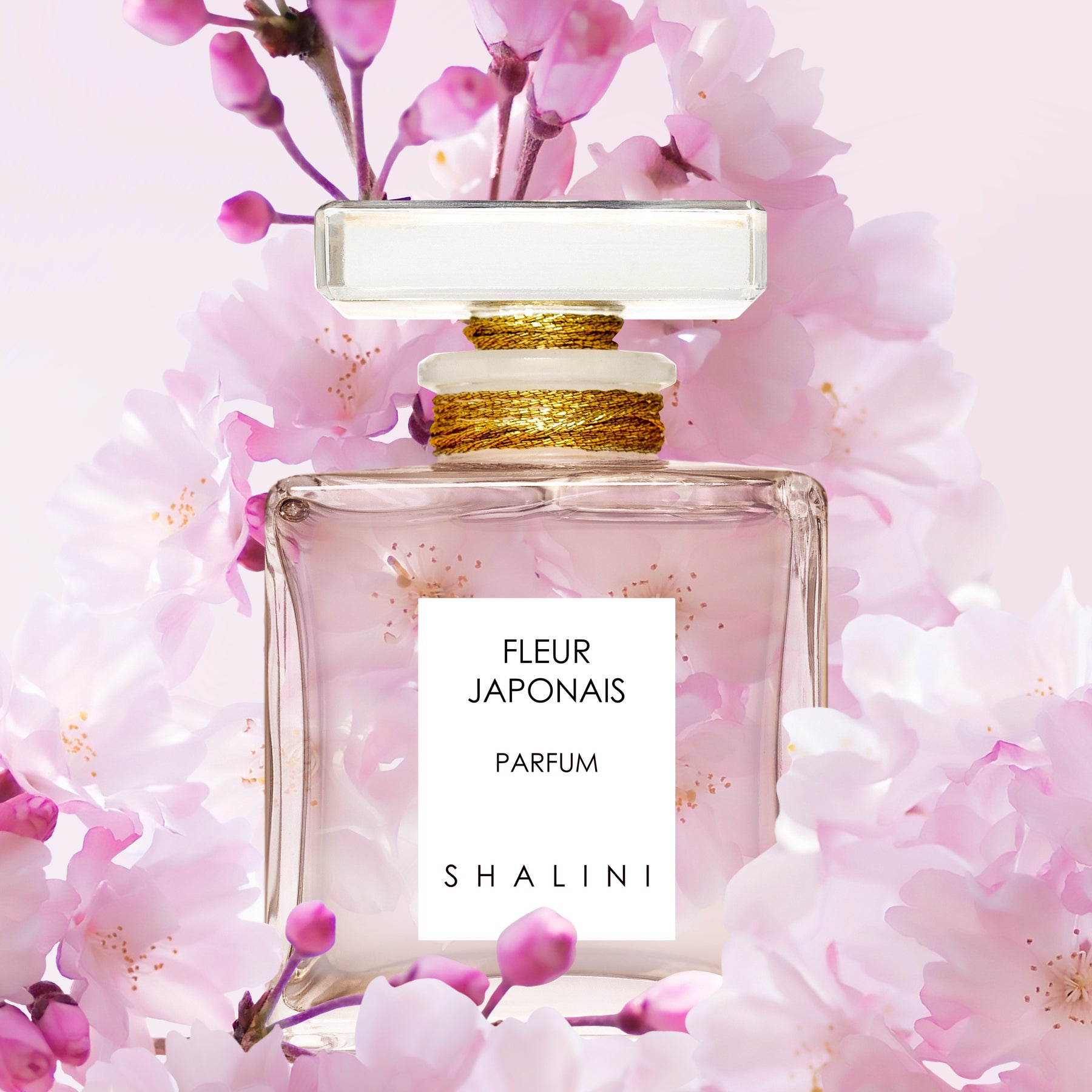 Collections — SHALINI PARFUM