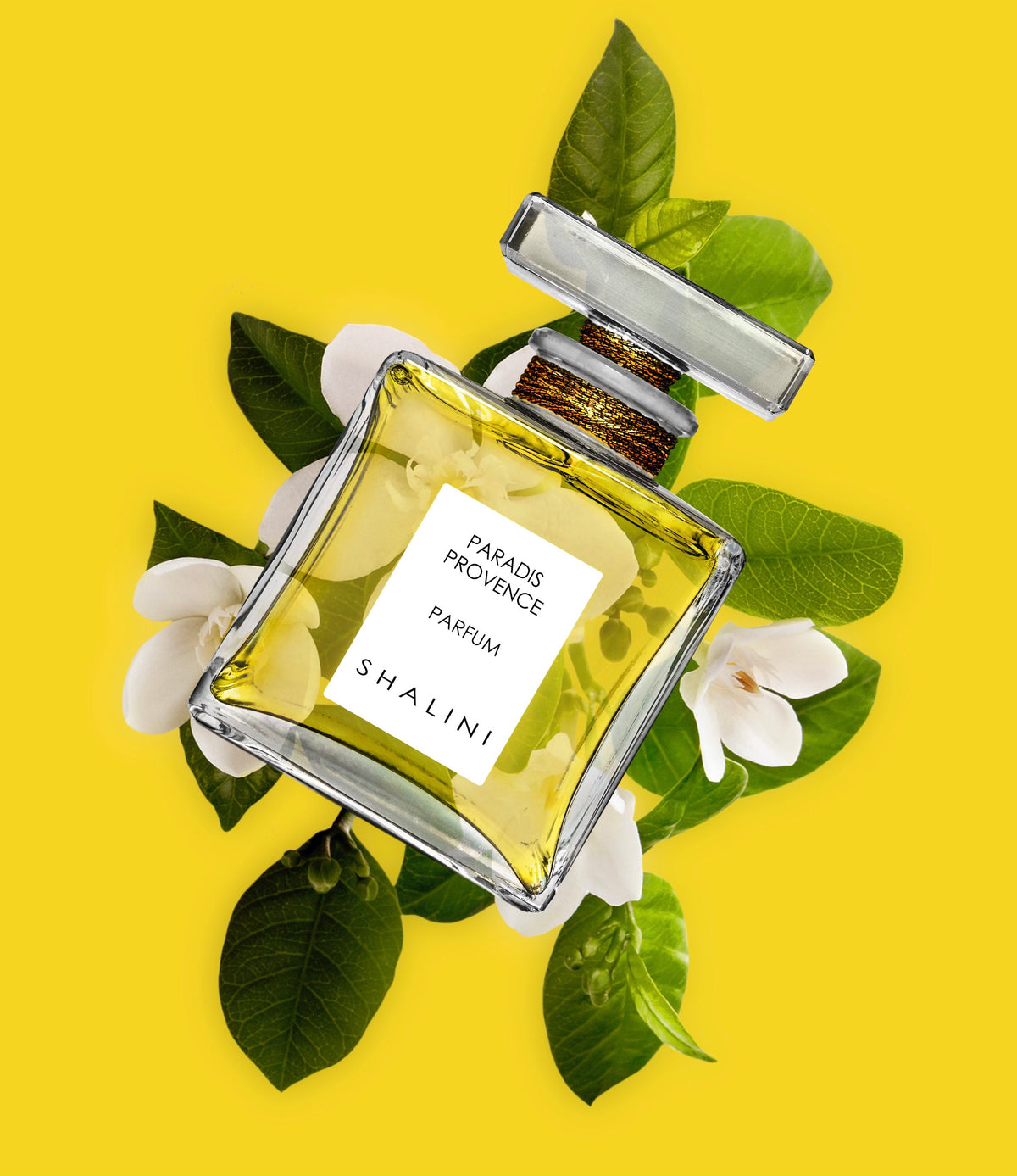 PARADIS PROVENCE COLLECTION — SHALINI PARFUM